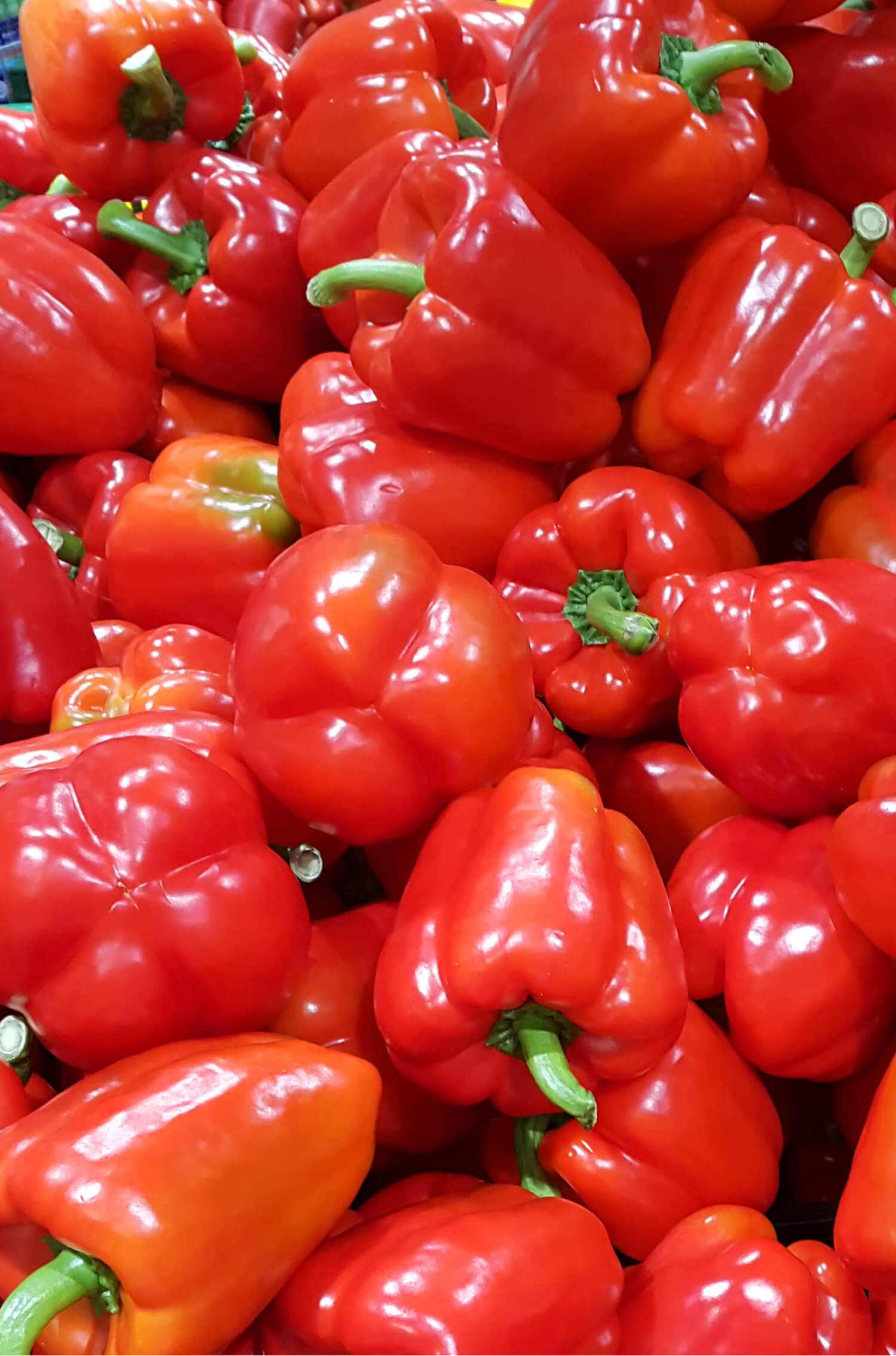 Pimiento » Green Valley Almería